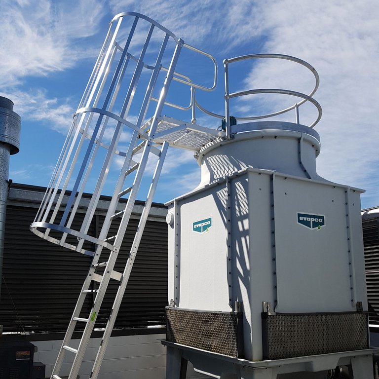 RL angled caged rung ladder | Kattsafe