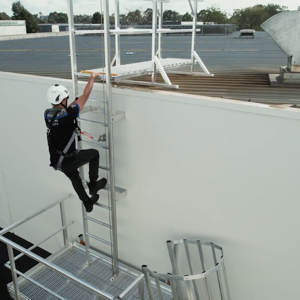 Cage Ladder | Vertical Cage, RL vertical safety, roof access ladders ...