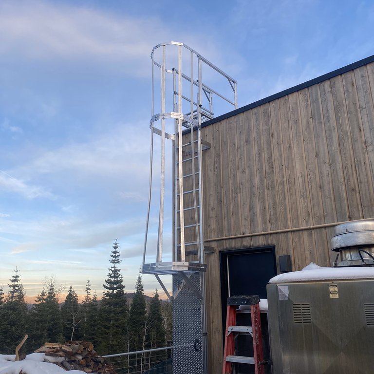 RL40 Vertical Caged Rung Ladders | Kattsafe