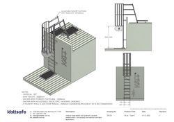 RL vertical cage rung ladder | Kattsafe