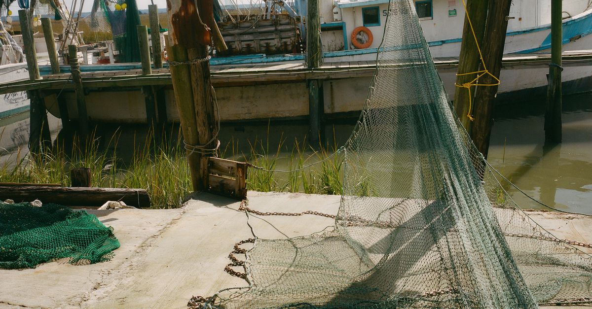 The Fish Company Where Forrest Gump Really Got All of His Shrimp From ...