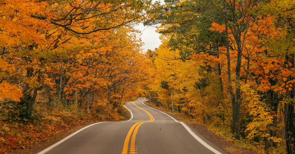 12 Great Fall Road Trips | Wildsam