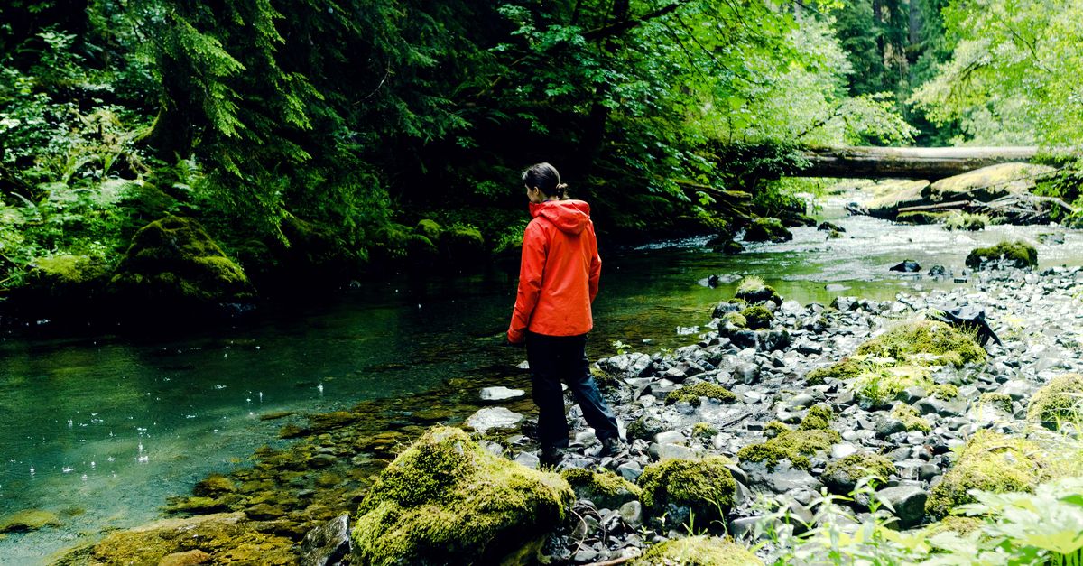 How Gore-Tex Became the Outdoor World’s Ultimate Waterproof Fabric ...