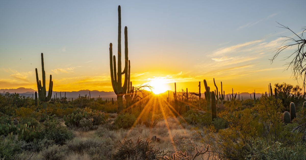 Essential Tucson: The Ultimate To-Do List for Visitors | Wildsam