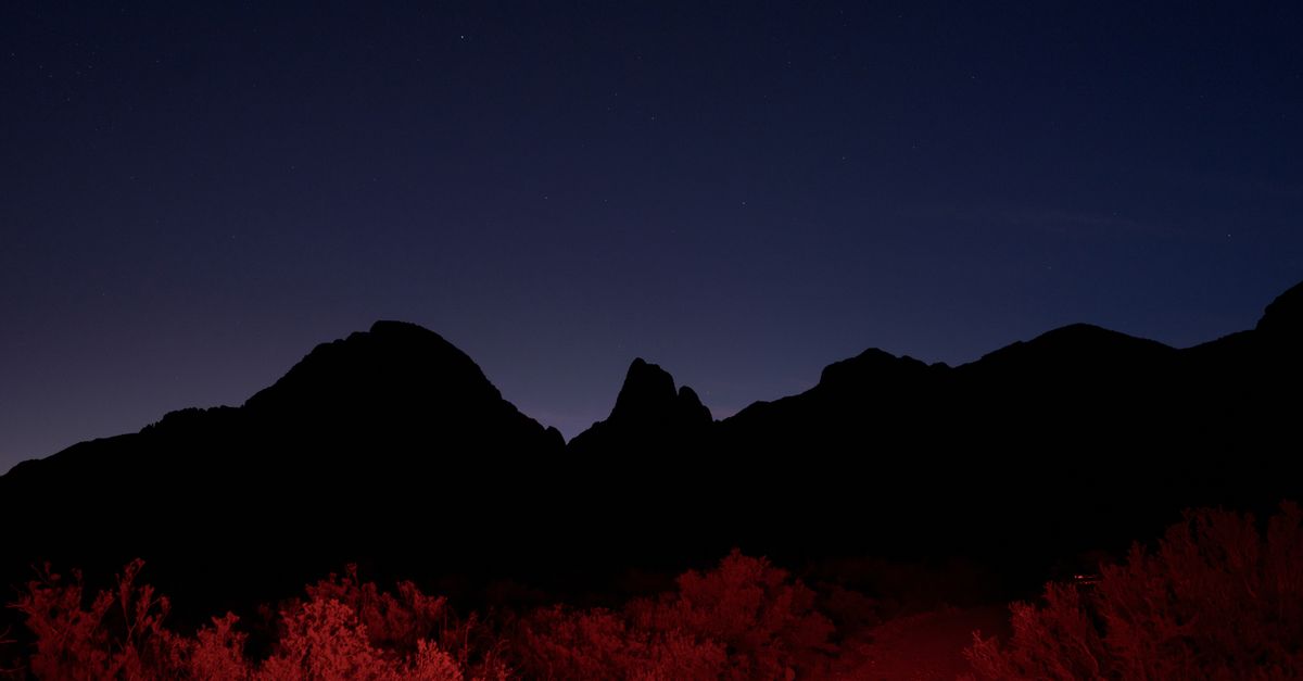 Deep in the Heart of Darkness | Wildsam