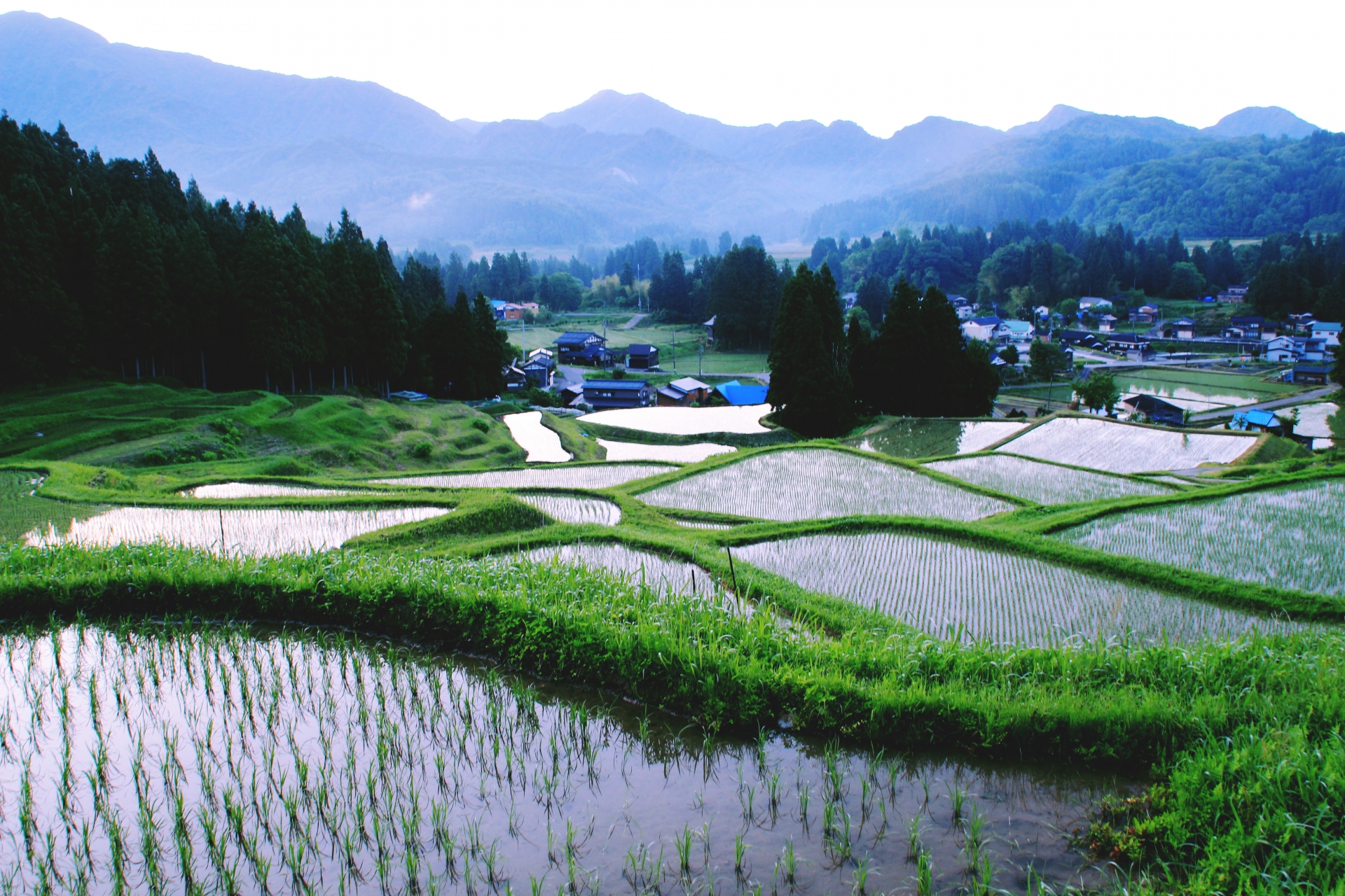 Alternative Japan Travel: Discover Sanjo City, Niigata’s Hidden Craft ...