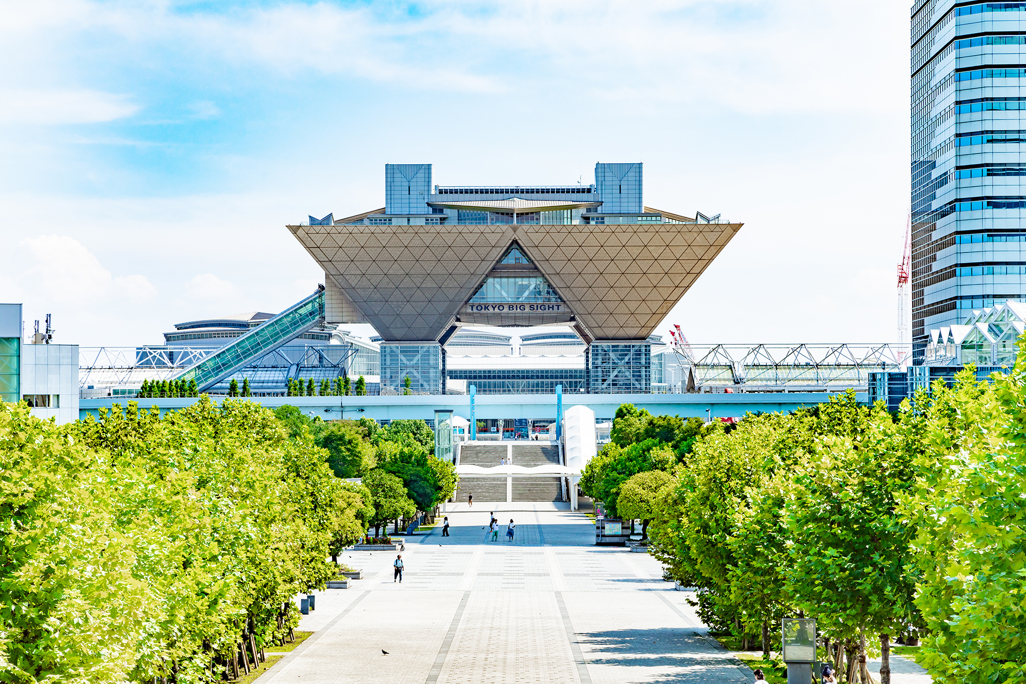 Japan's Scenic Cherry Blossom Journey -Golden Route & Sacred Shikoku