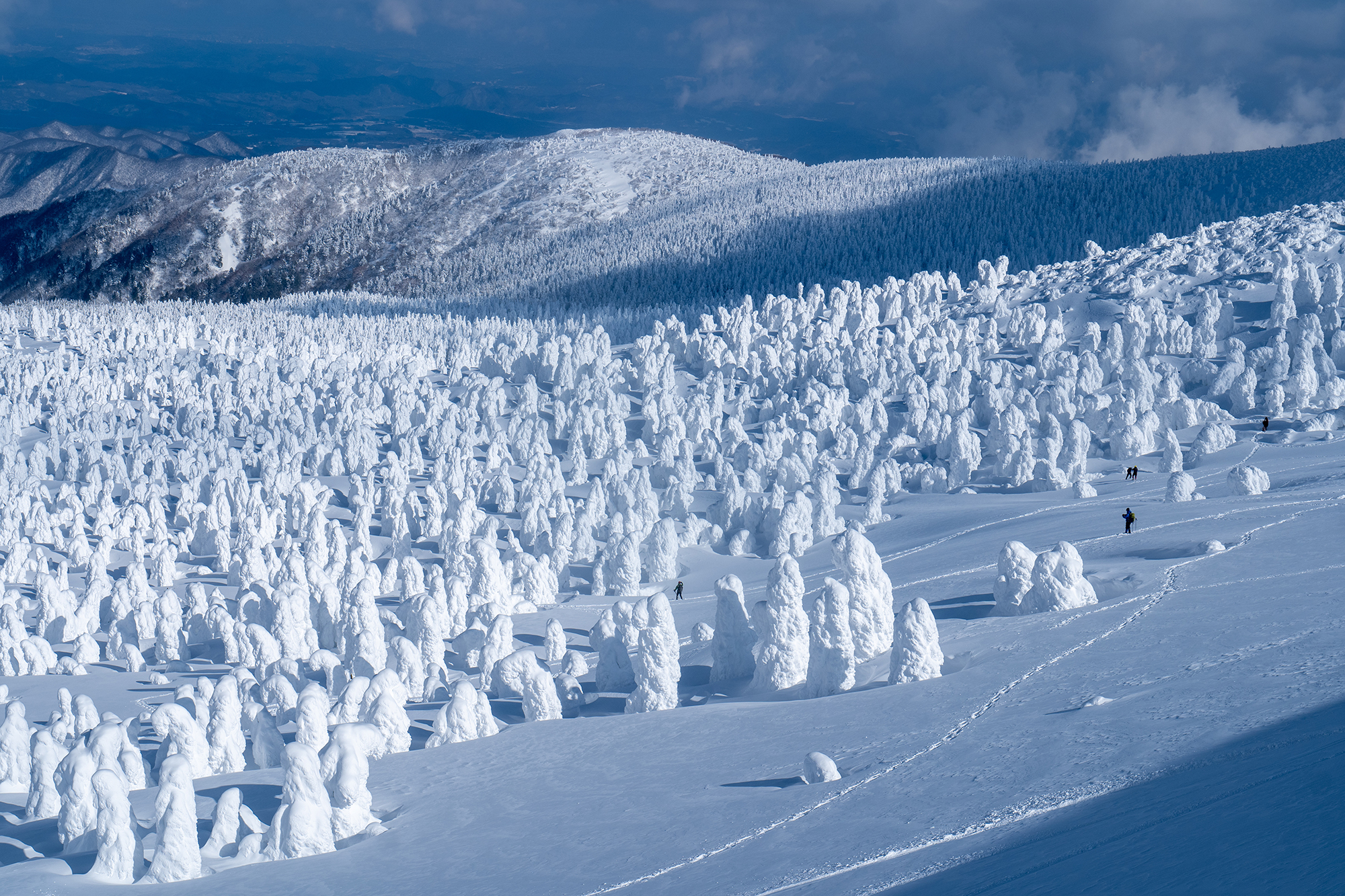 Zao Onsen Winter Escape Tour