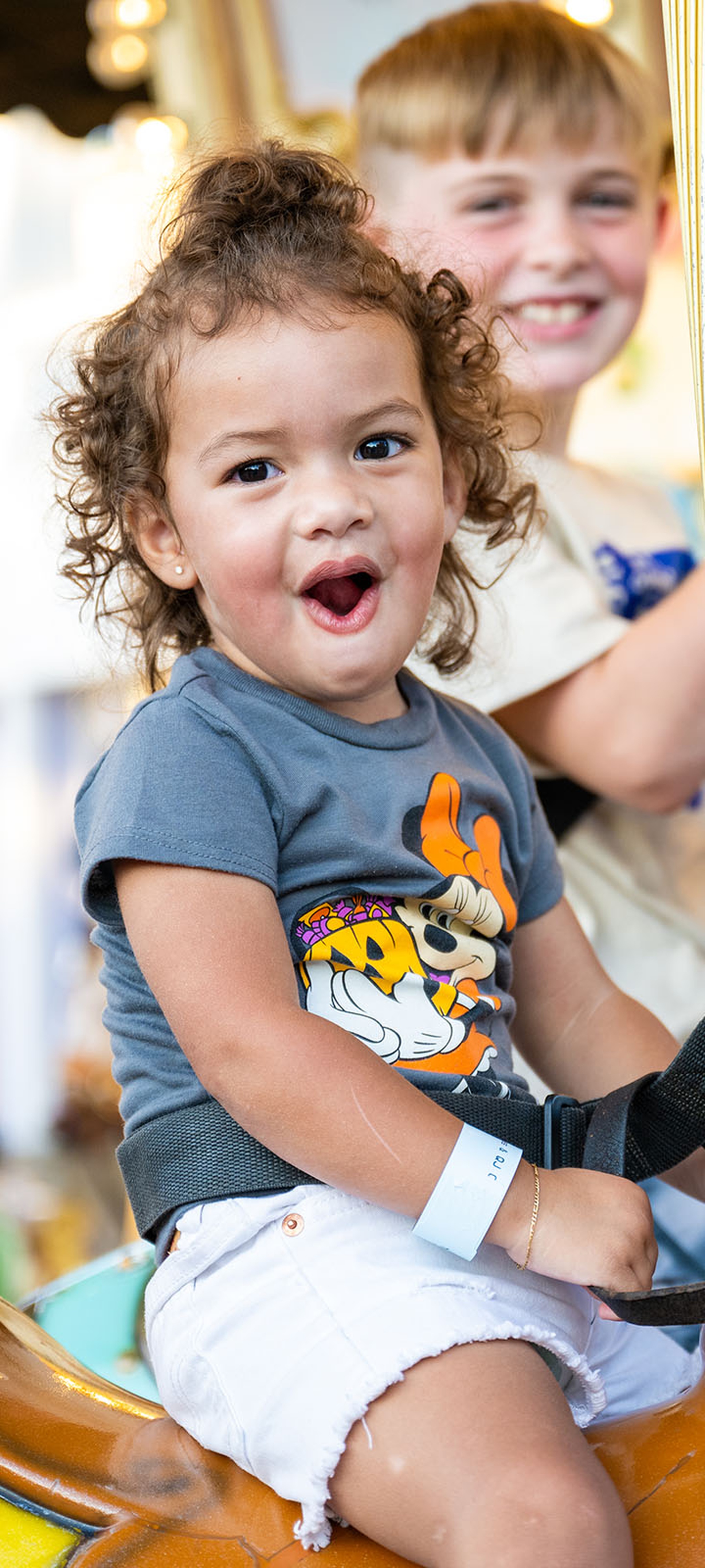 The Flying Carousel at The Island in Pigeon Forge | The Island in ...