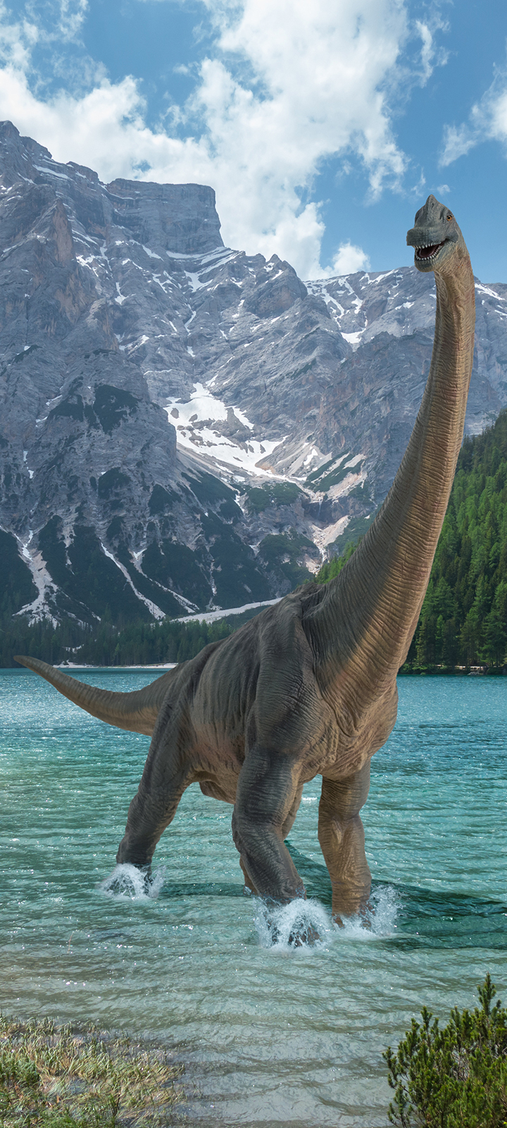 Brachiosaurus Uit Jurassic Park