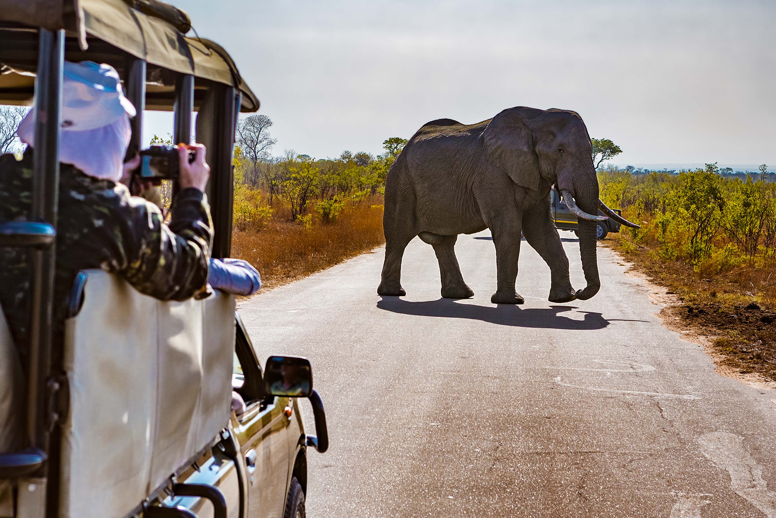 Africa Tours - Trips to Africa | EF Go Ahead Tours