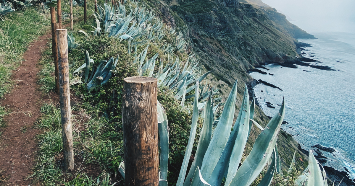 Growing Up Azorean: An Insider’s Guide to Europe’s Best Kept Secret ...