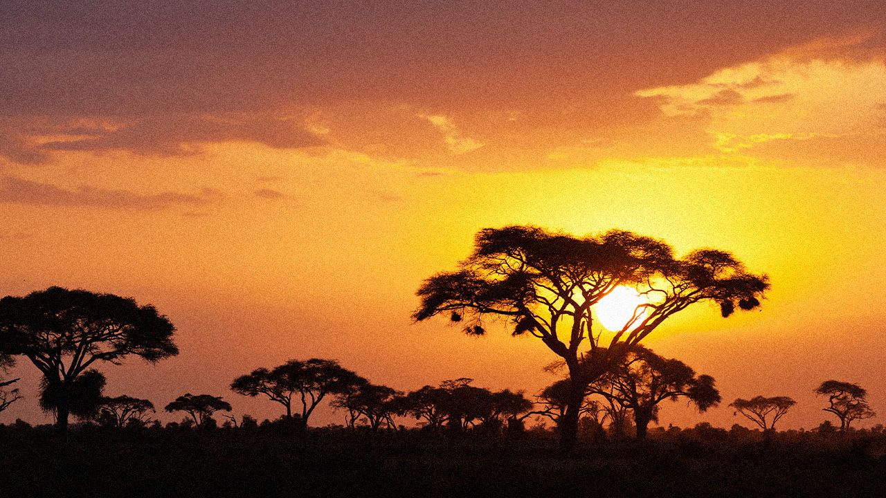 Emily Anderson and Cody Rodriguez