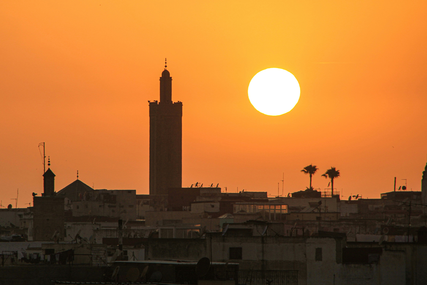 Solar Eclipse in Morocco: Spain, Morocco & Portugal (Plus)