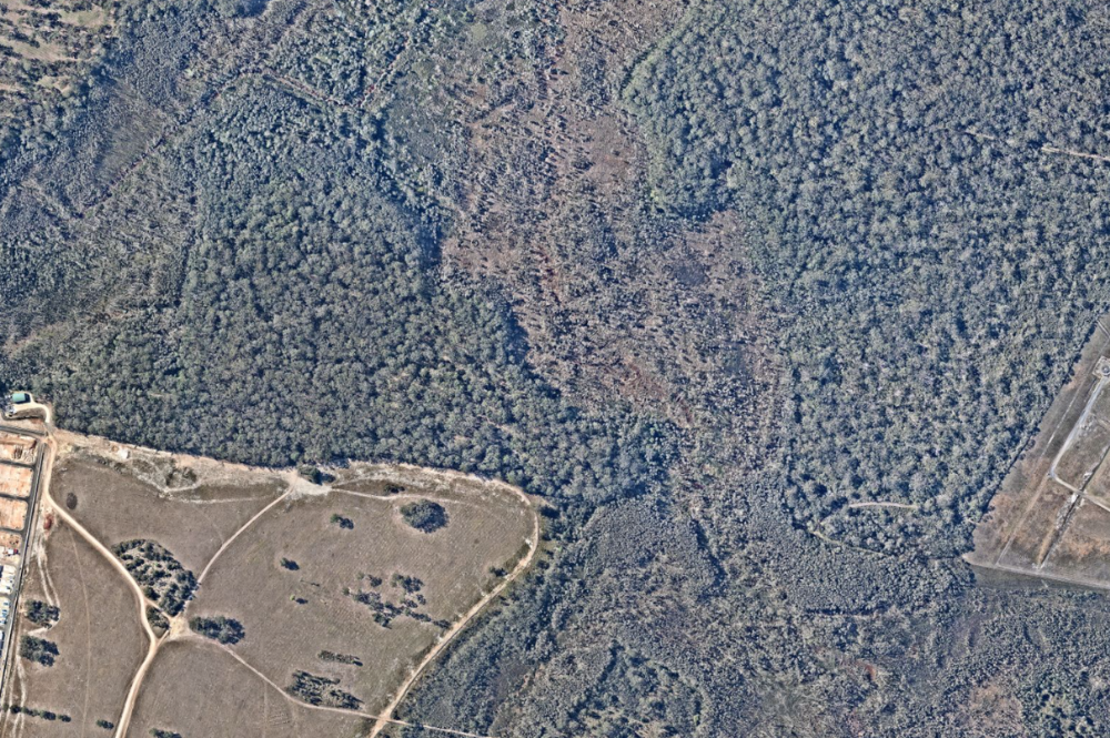 Cutting Australia’s disaster costs with AI risk modelling | Nearmap AU