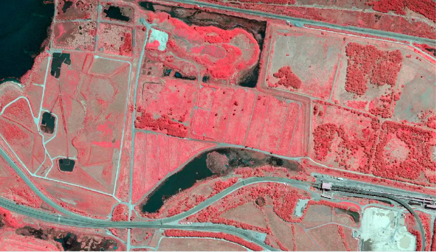 Near Infrared (NIR) Map | Nearmap AU