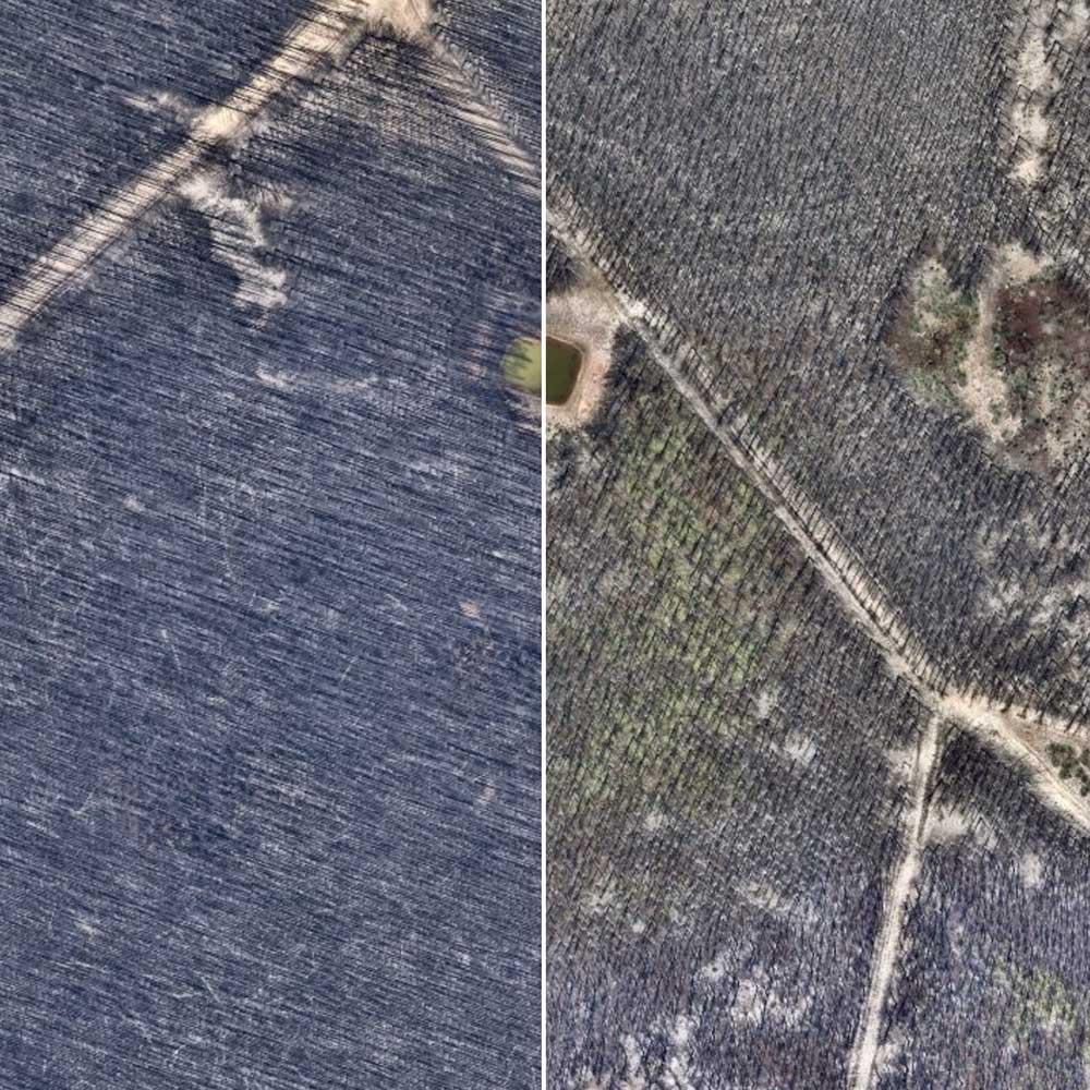 Disaster Recovery Australia | Nearmap AU