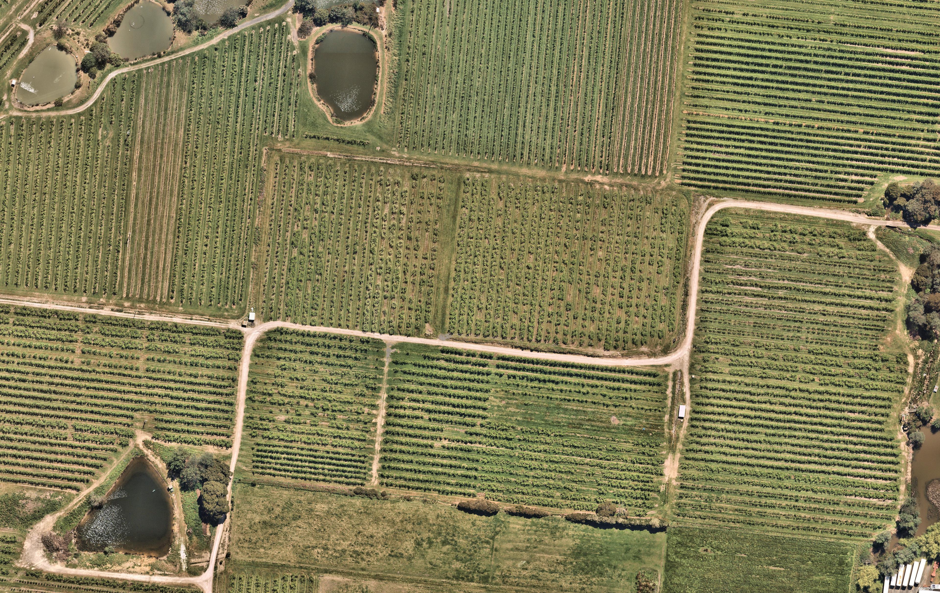 Mapping Australia's apple and pear orchards | Nearmap AU