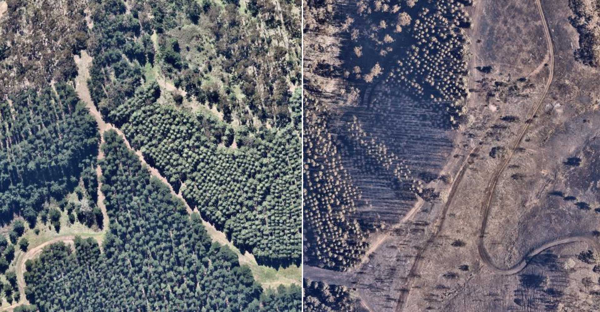 Disaster Recovery Australia | Nearmap