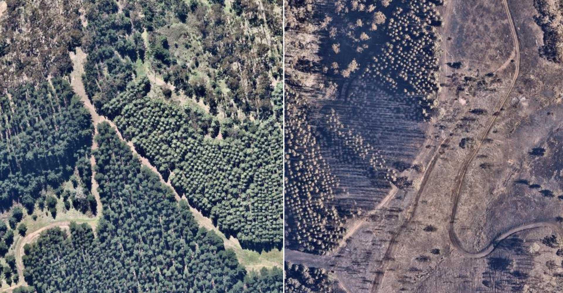 Disaster Recovery Australia | Nearmap US