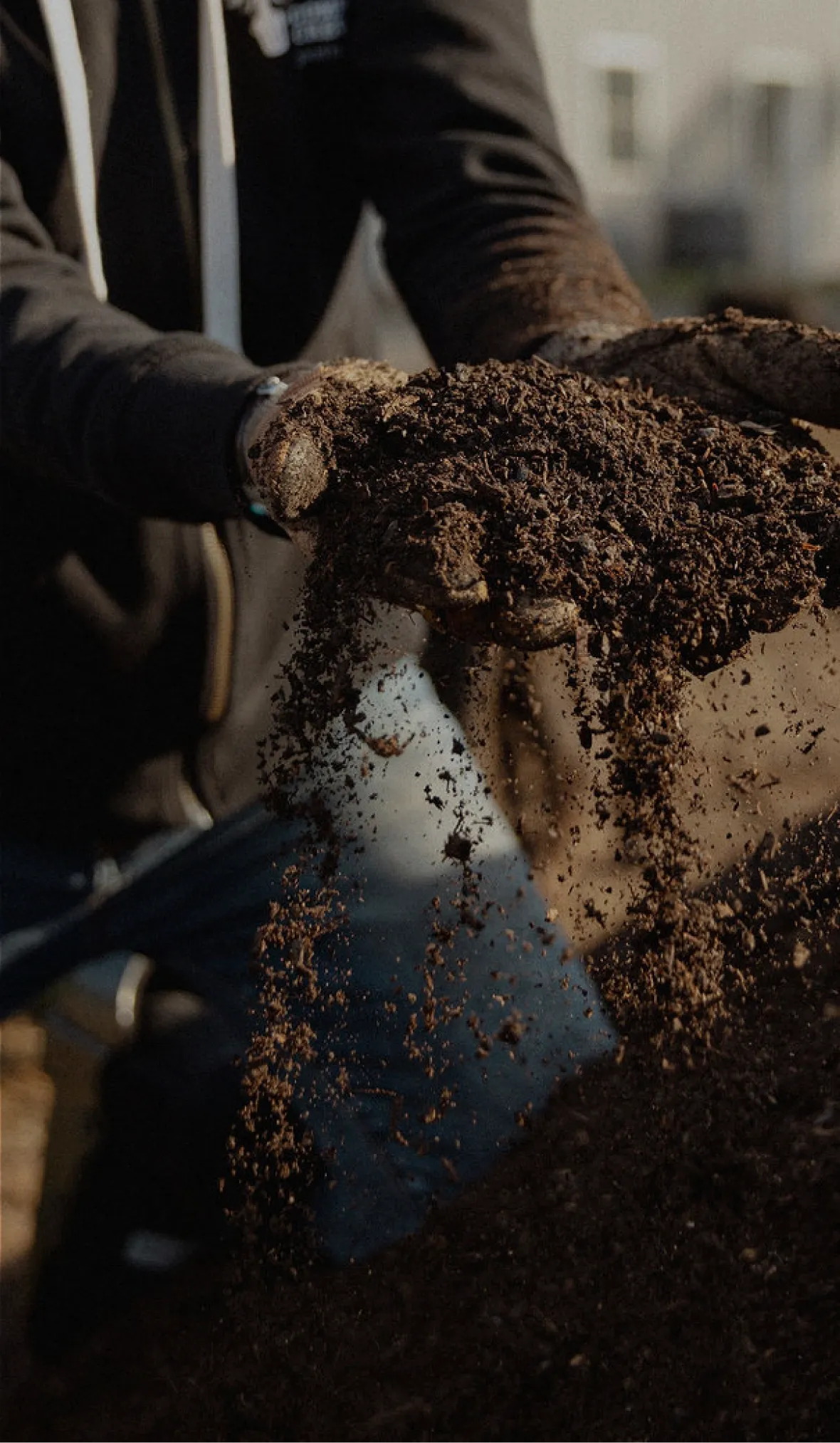 Nourish DMV soil with your food scraps