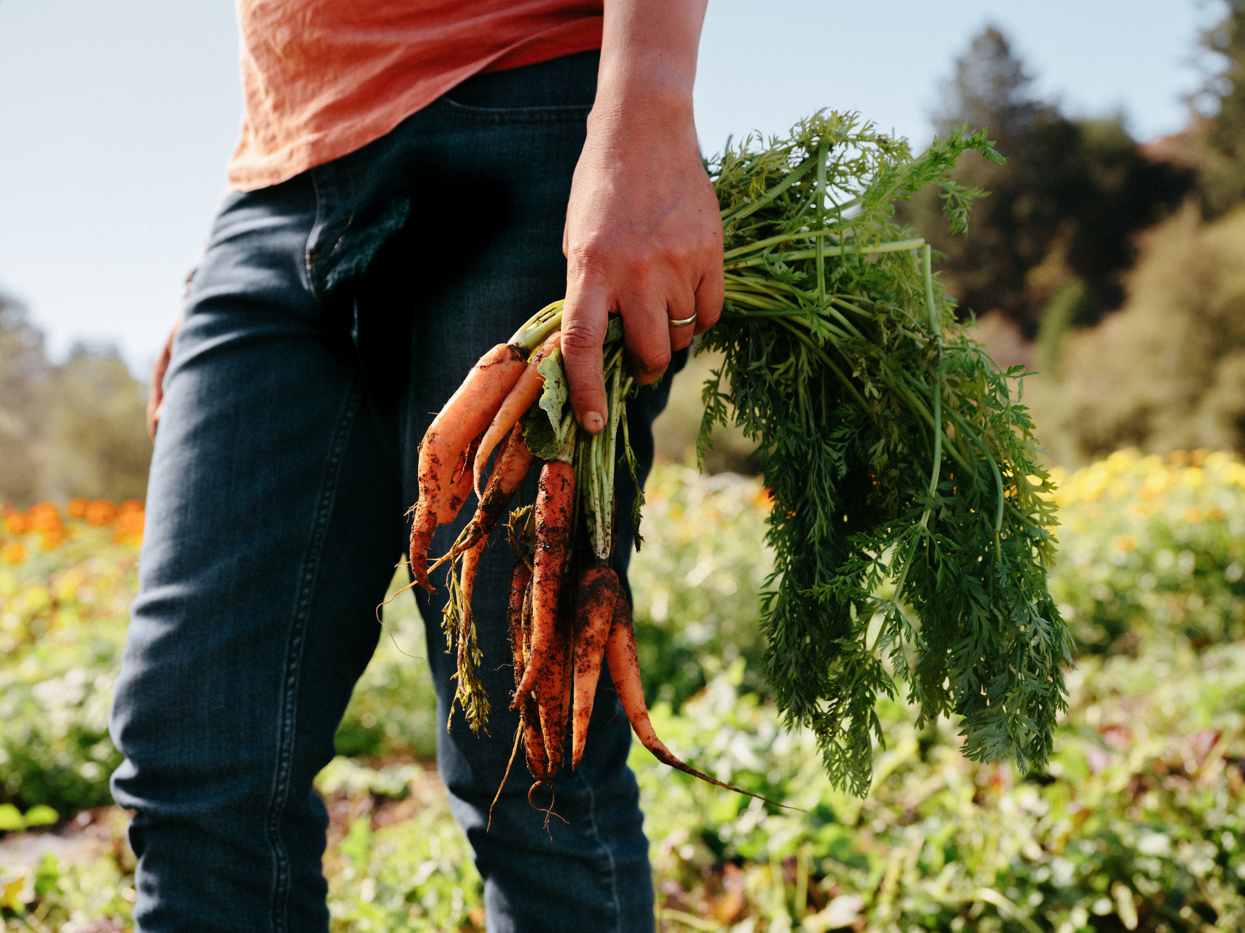 How to Compost Food Grounds in Your Compost Pile