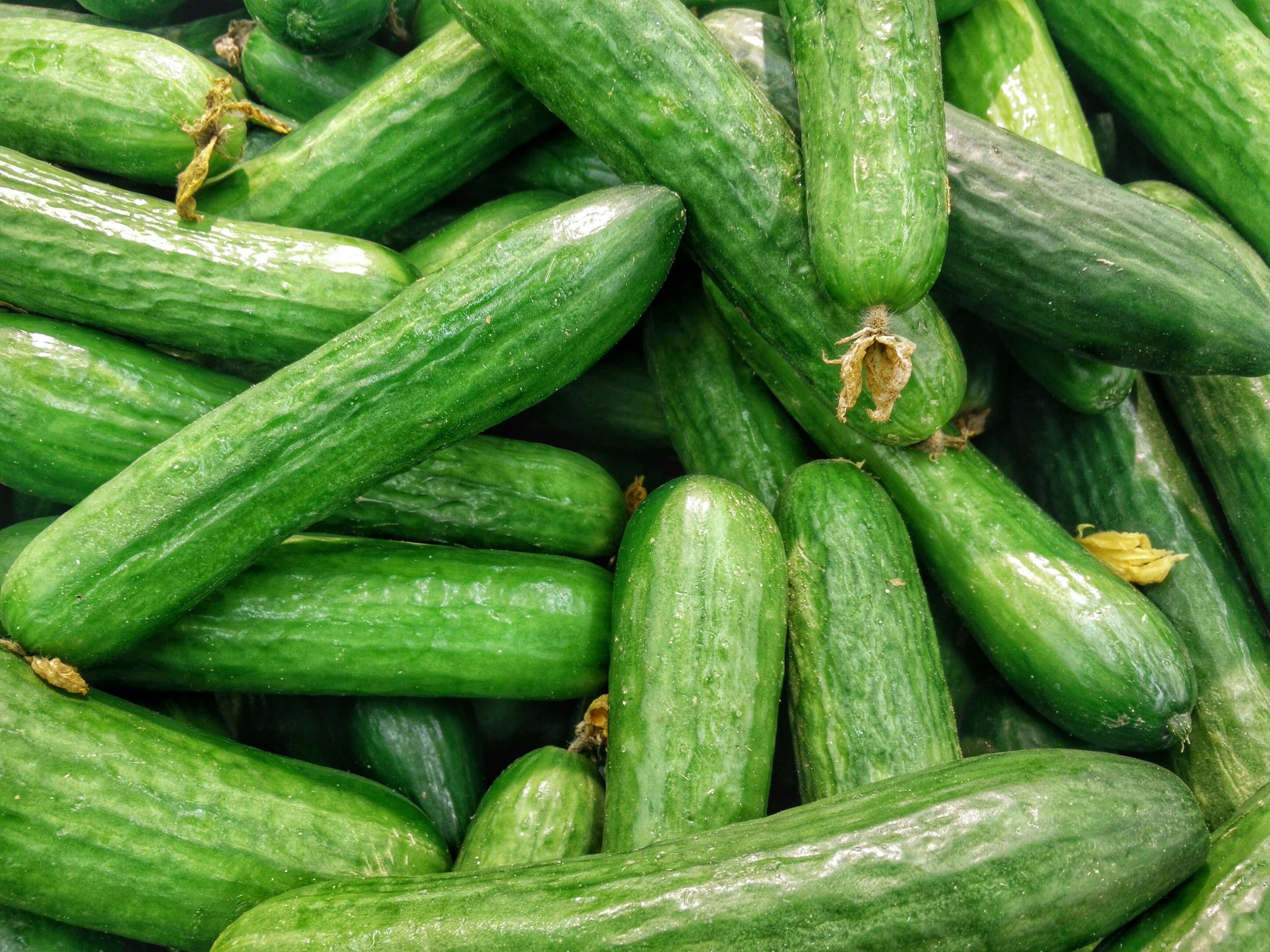How to Store Cucumbers to Keep Them Crisp Longer