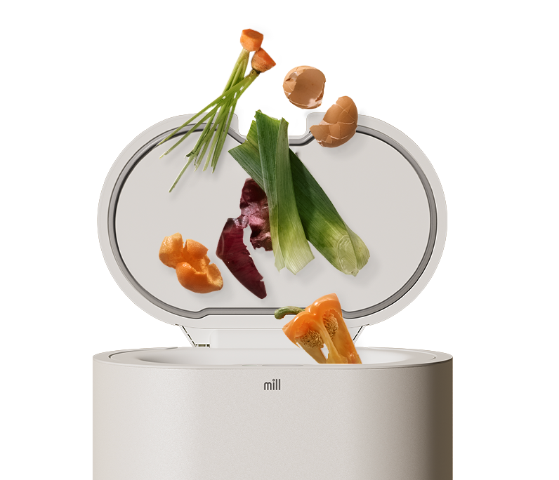 The Mill Food Recycler as a teaching tool