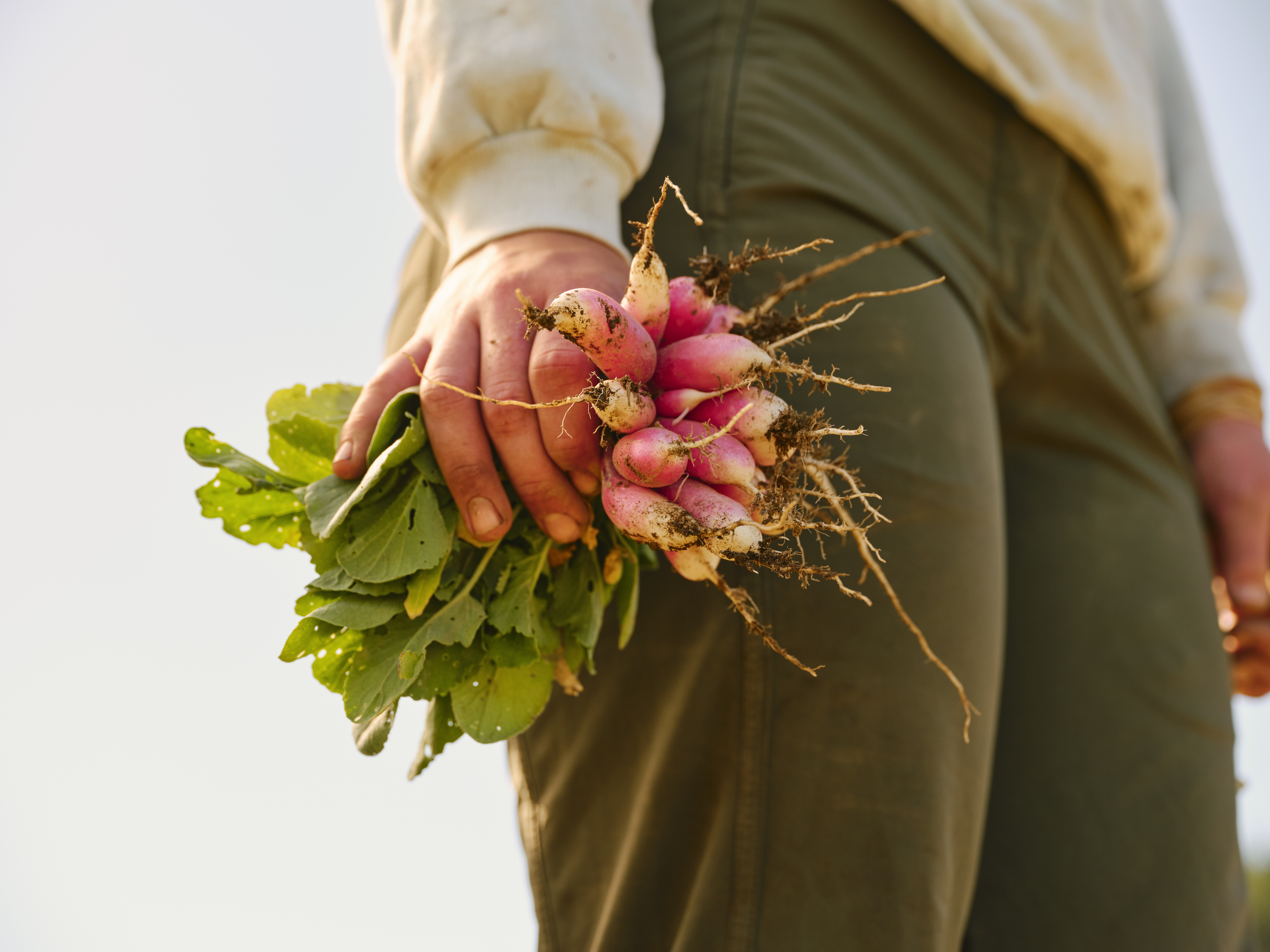 How to Mix Food Grounds with Your Soil