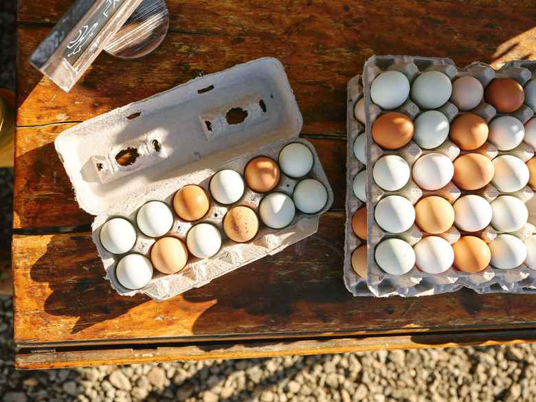 Can You Compost Egg Shells?