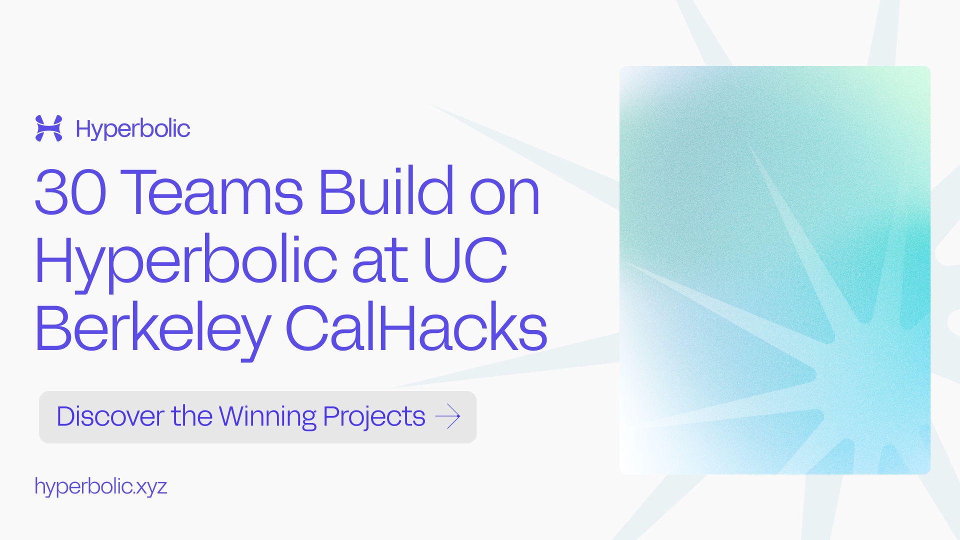 Hyperbolic at CalHacks 2024