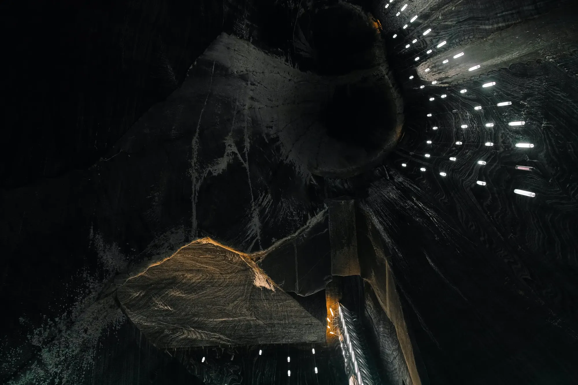 Team | Fastest growing carbon removal technology