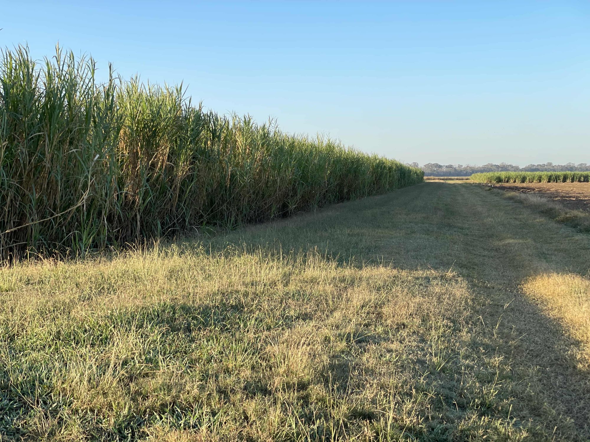 Making Grass Flow Like Water to Save the Planet | Charm Industrial