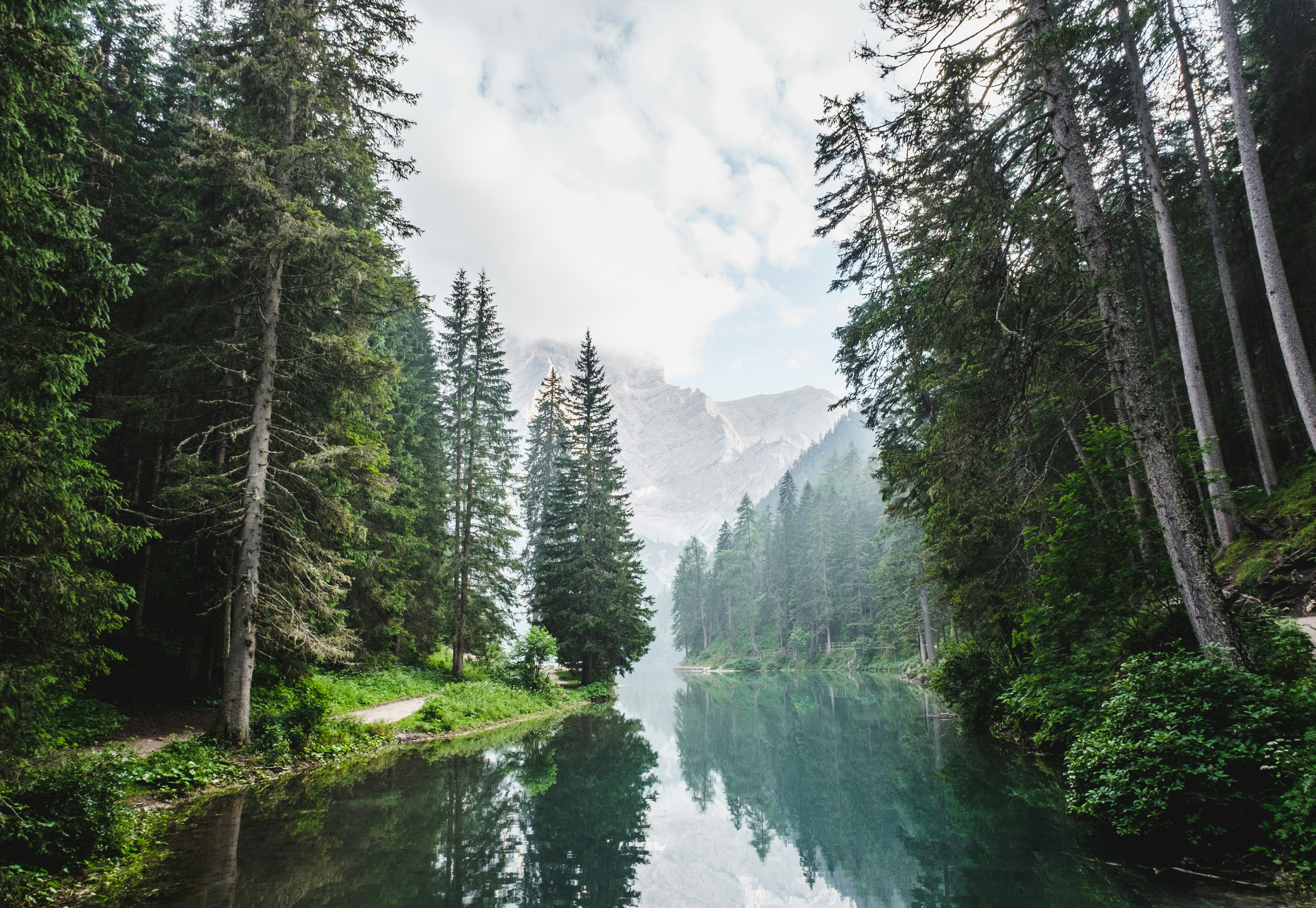 The SBTi Report on Carbon Offsets Omits the Hardest Truth
