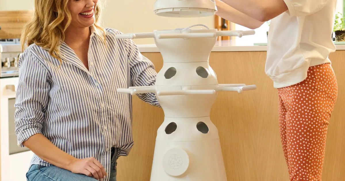 With New Launch of the Farmstand Nook, Lettuce Grow Continues ...