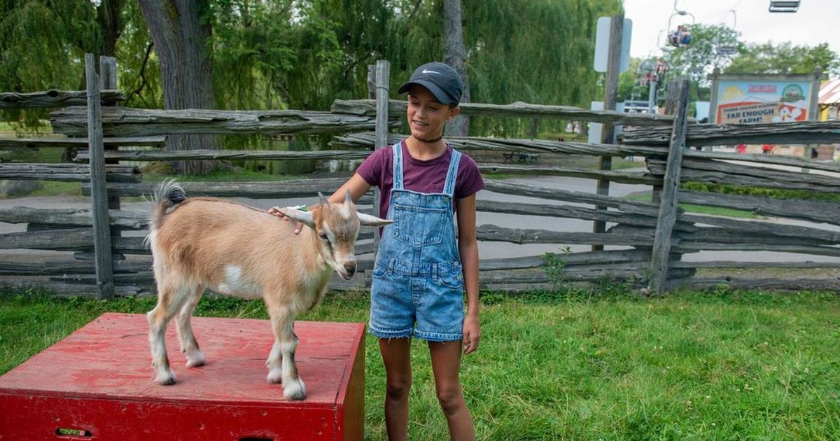 Far Enough Farm Petting Farm