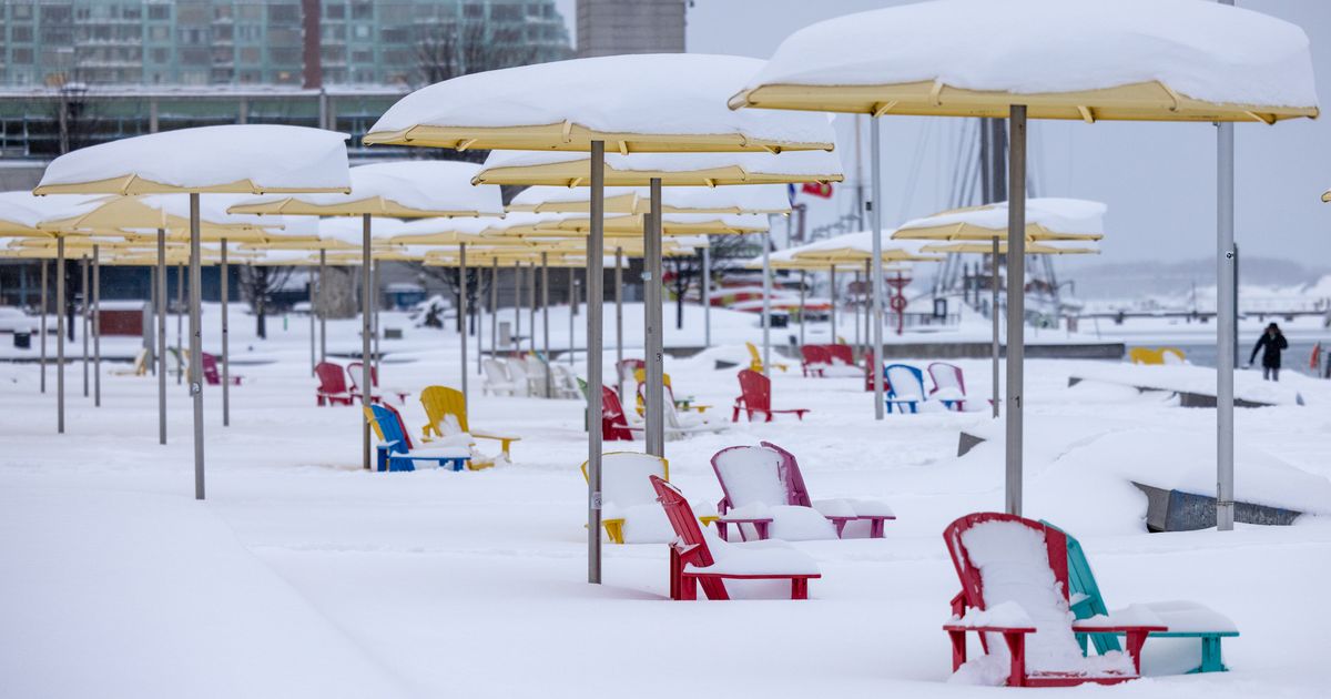 12 Winter Things to Do on Toronto’s Waterfront You Probably Didn’t Know ...