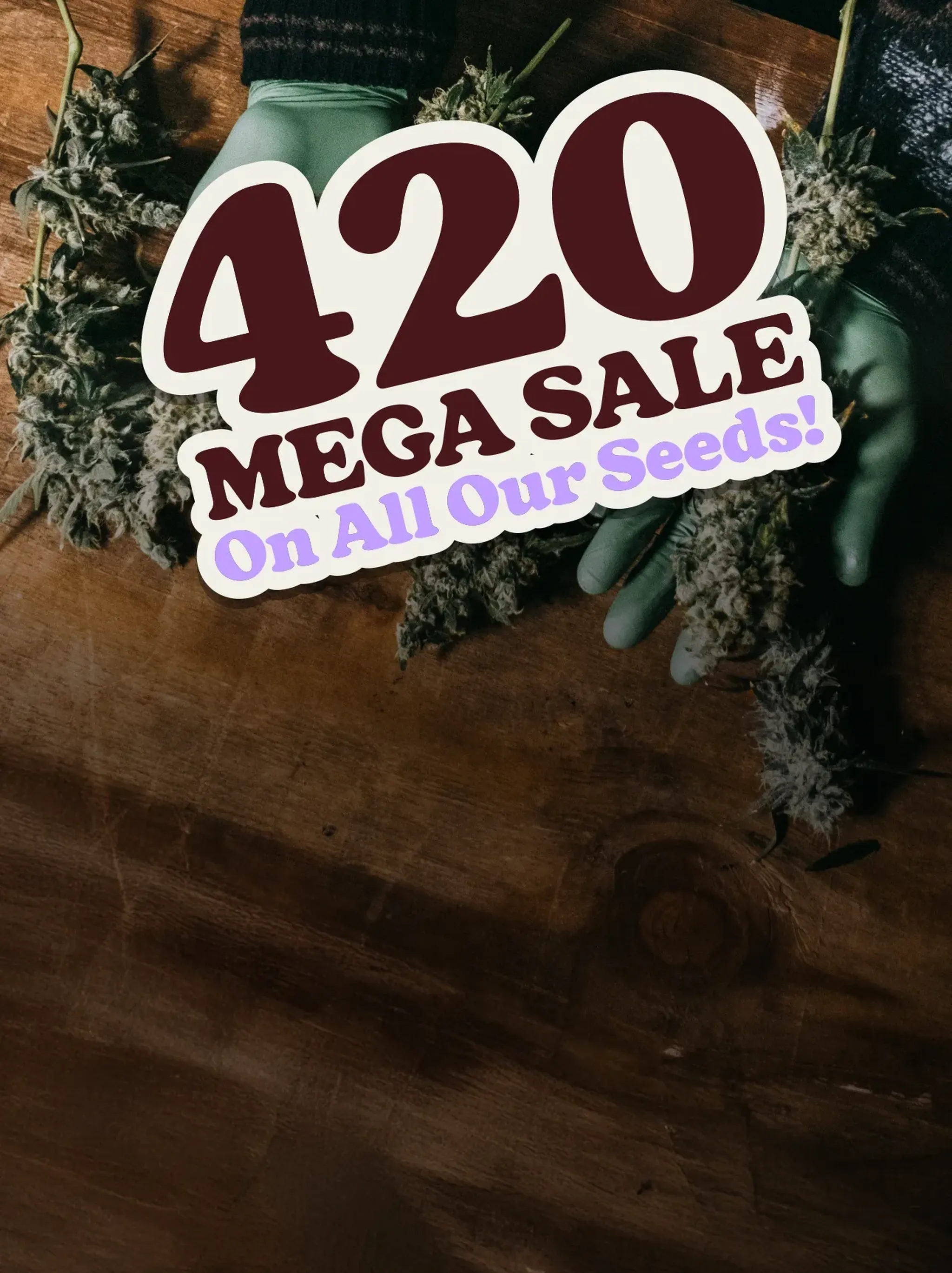 The 10 Best Strains to Grow in Michigan - ILGM