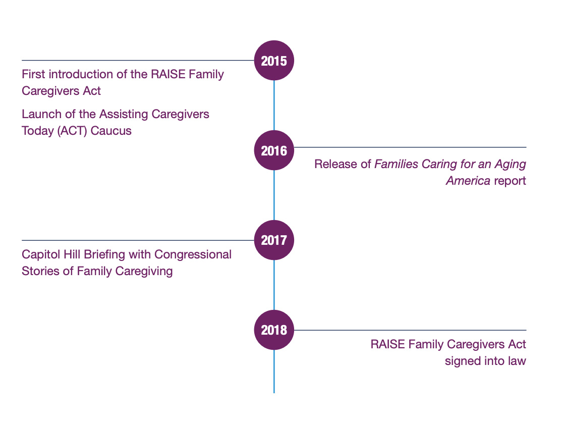 Assessing the National Strategy to Support Family Caregivers as a Model ...