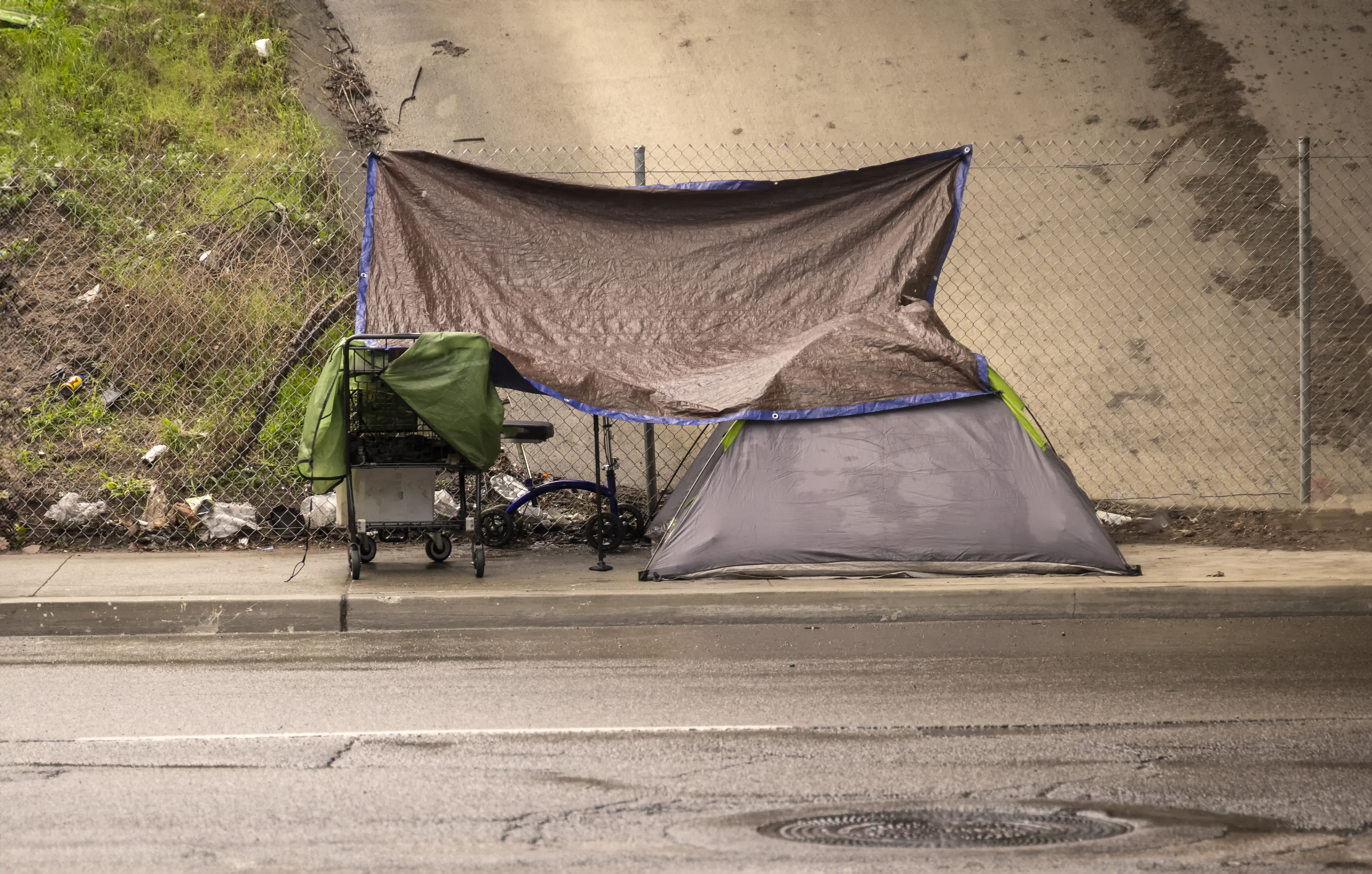 Housing, Homelessness, and Health: A Path Forward for Older Adults ...