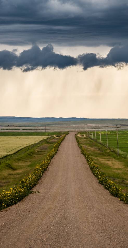 Montana Guidebooks | Visit Montana