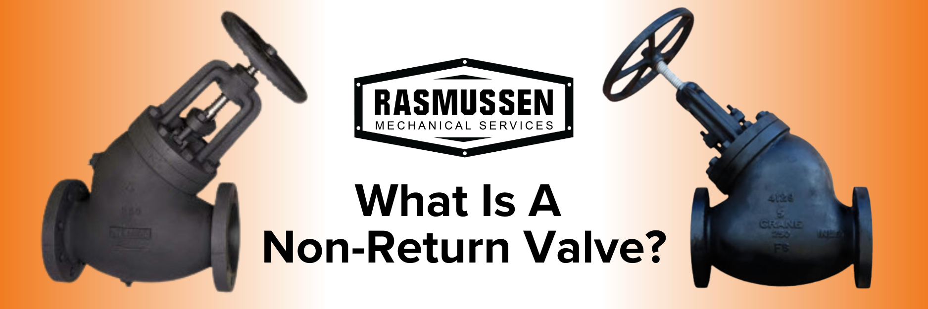 What is a Non-Return Valve? NRV Basics And Maintenance