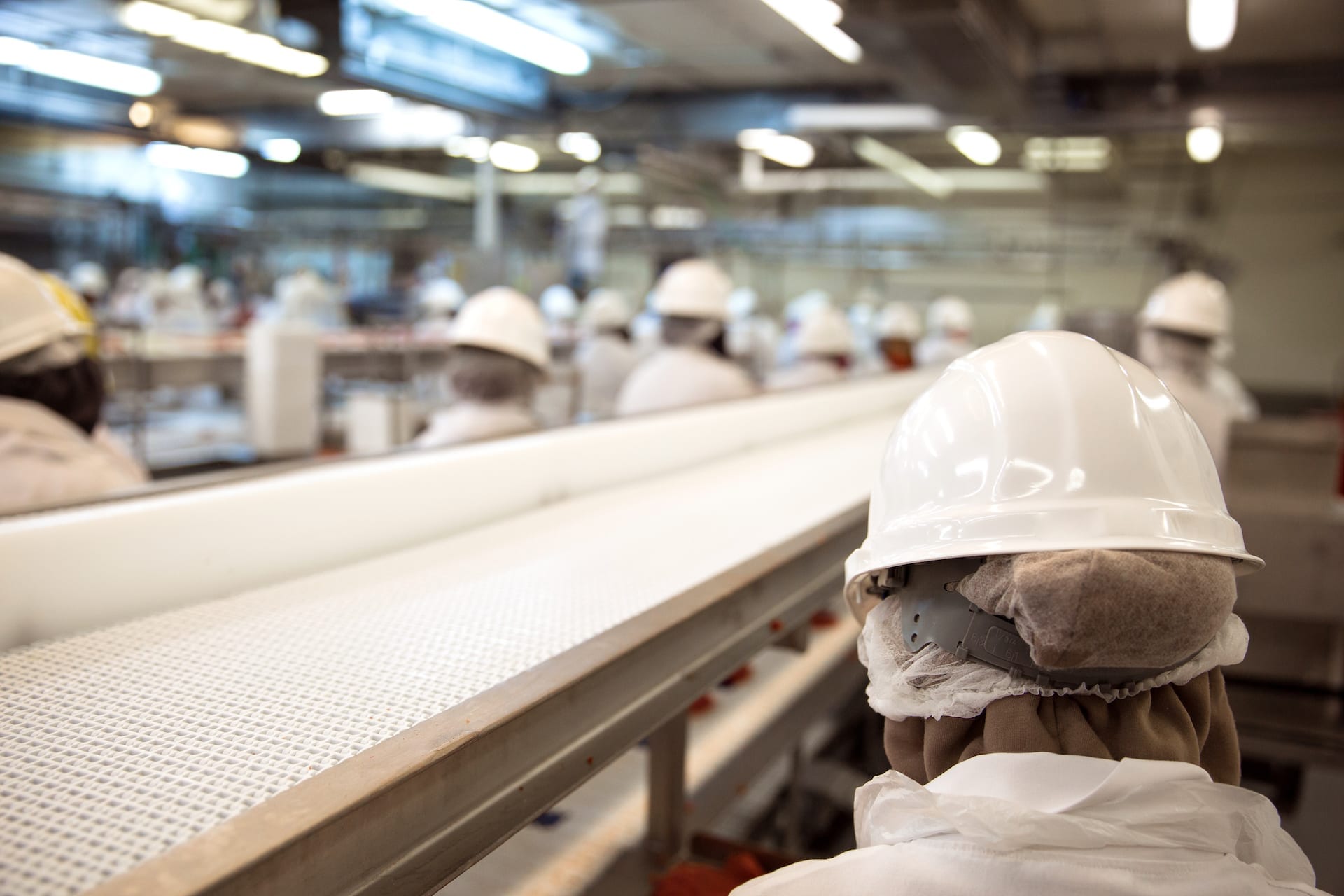 Your Guide to Industrial Steam Boilers For Food Processing