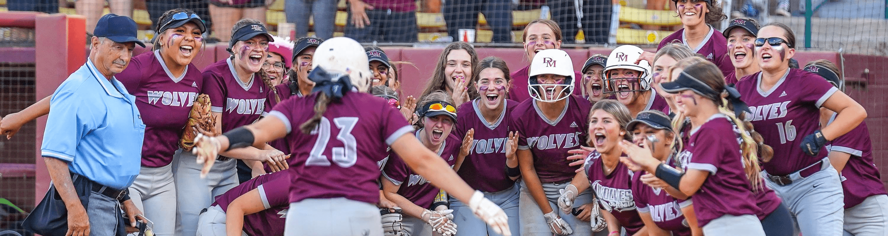 NFHS - Softball Rules