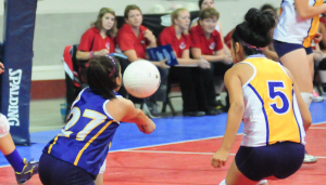 Libero Rules Adjusted in High School Volleyball