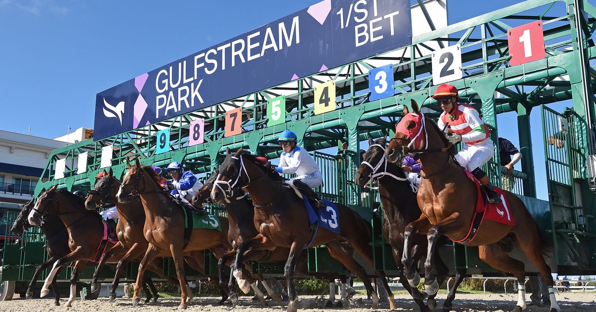 DRF's Horse Racing Playbook for Friday, September 5, 2025