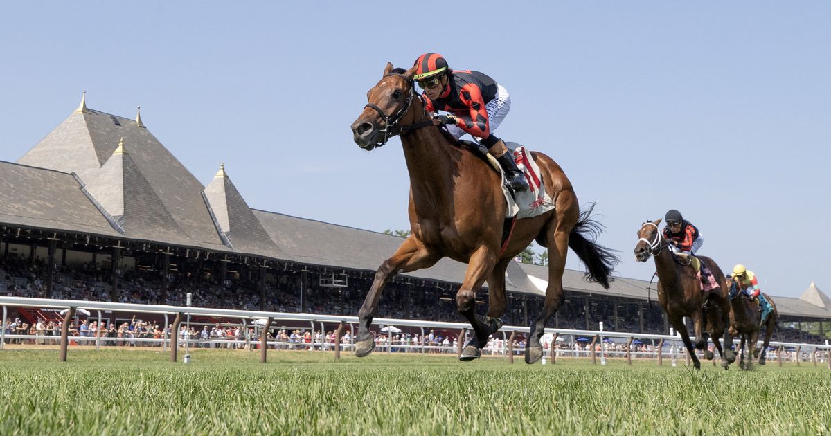 Spirit of New York makes return in Spectacular Bid
