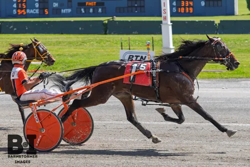Buffalo: Uncle Rob matches track record in New York Sire Stakes victory