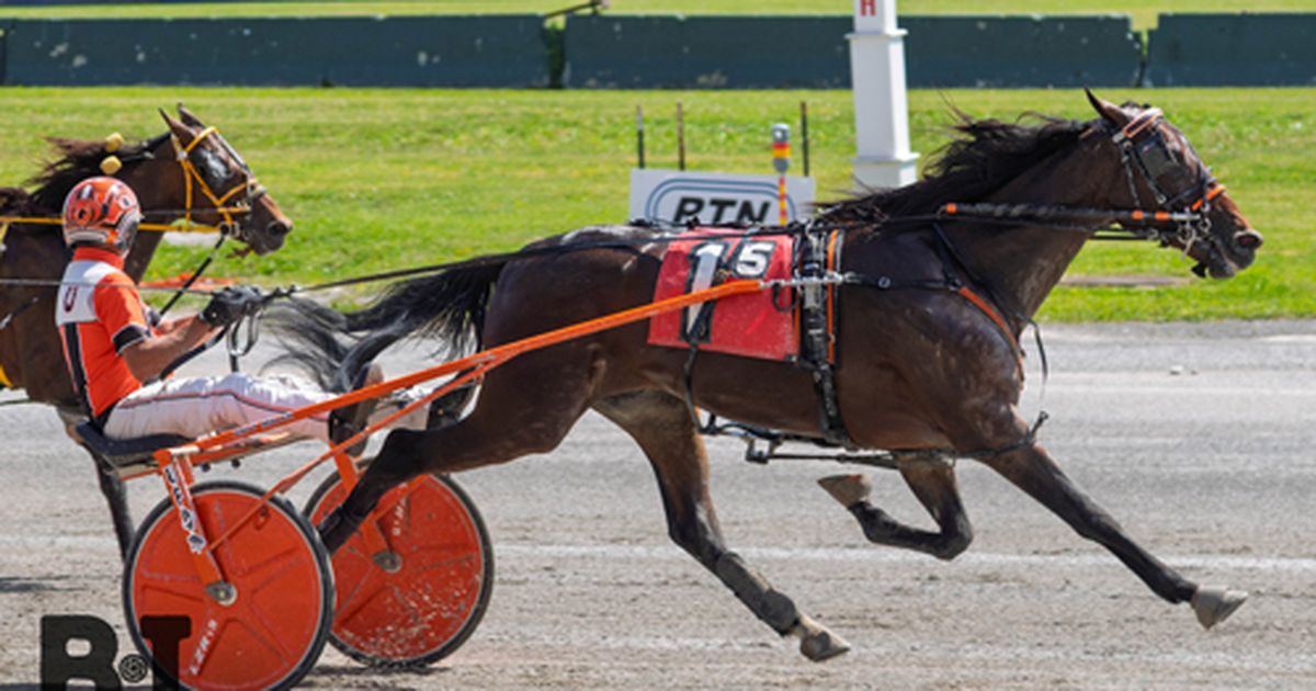 Buffalo: Uncle Rob matches track record in New York Sire Stakes victory