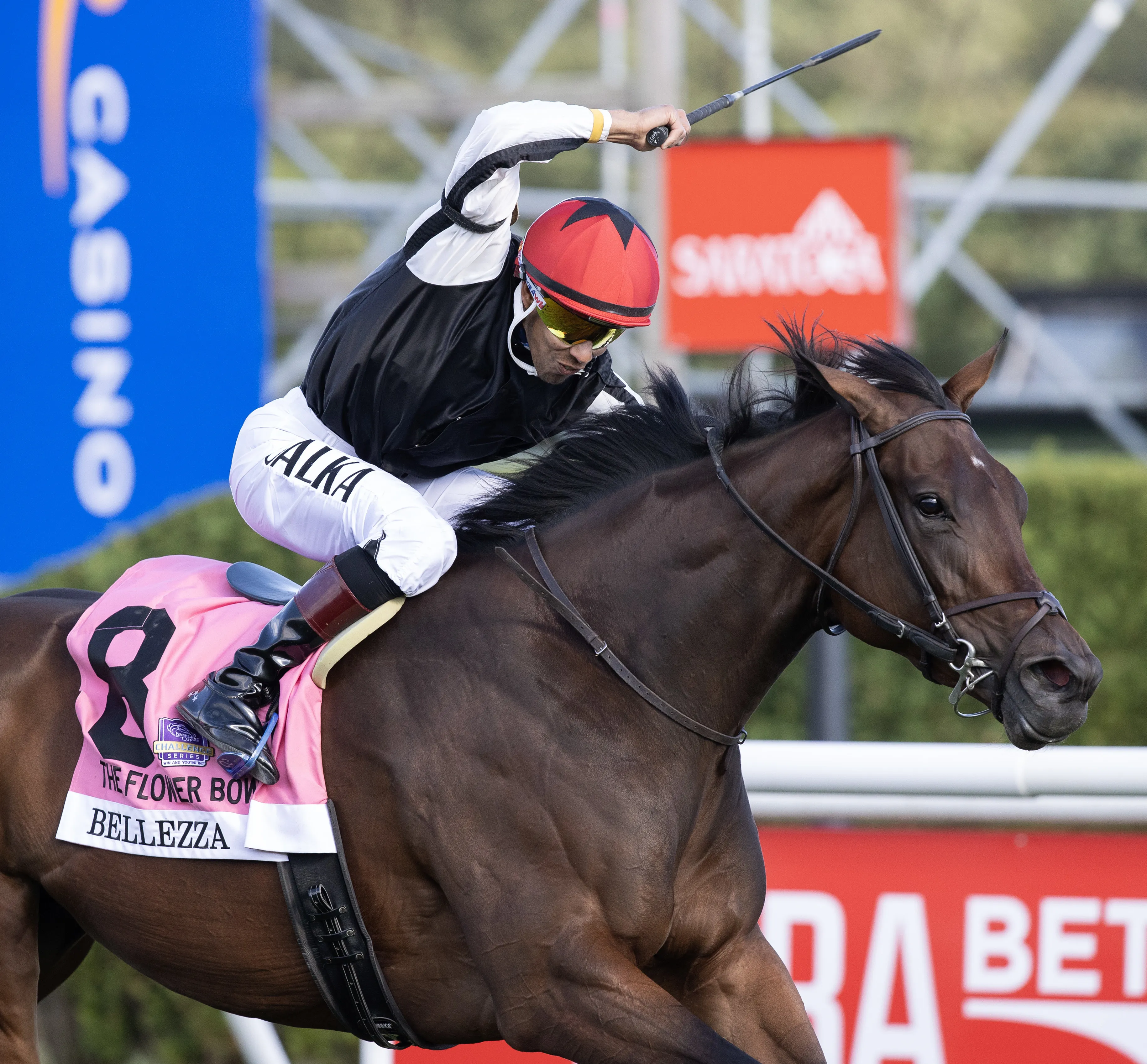 Bellezza at favorite distance in Robert G. Dick Memorial